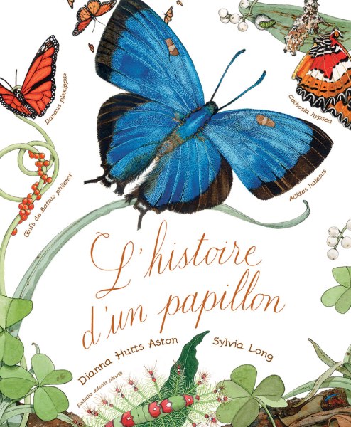 Semaine thématique – Les papillons – Le blog SavoirsPlus