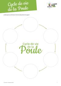 Téléchargement – Cycle de vie de la poule – Le blog SavoirsPlus