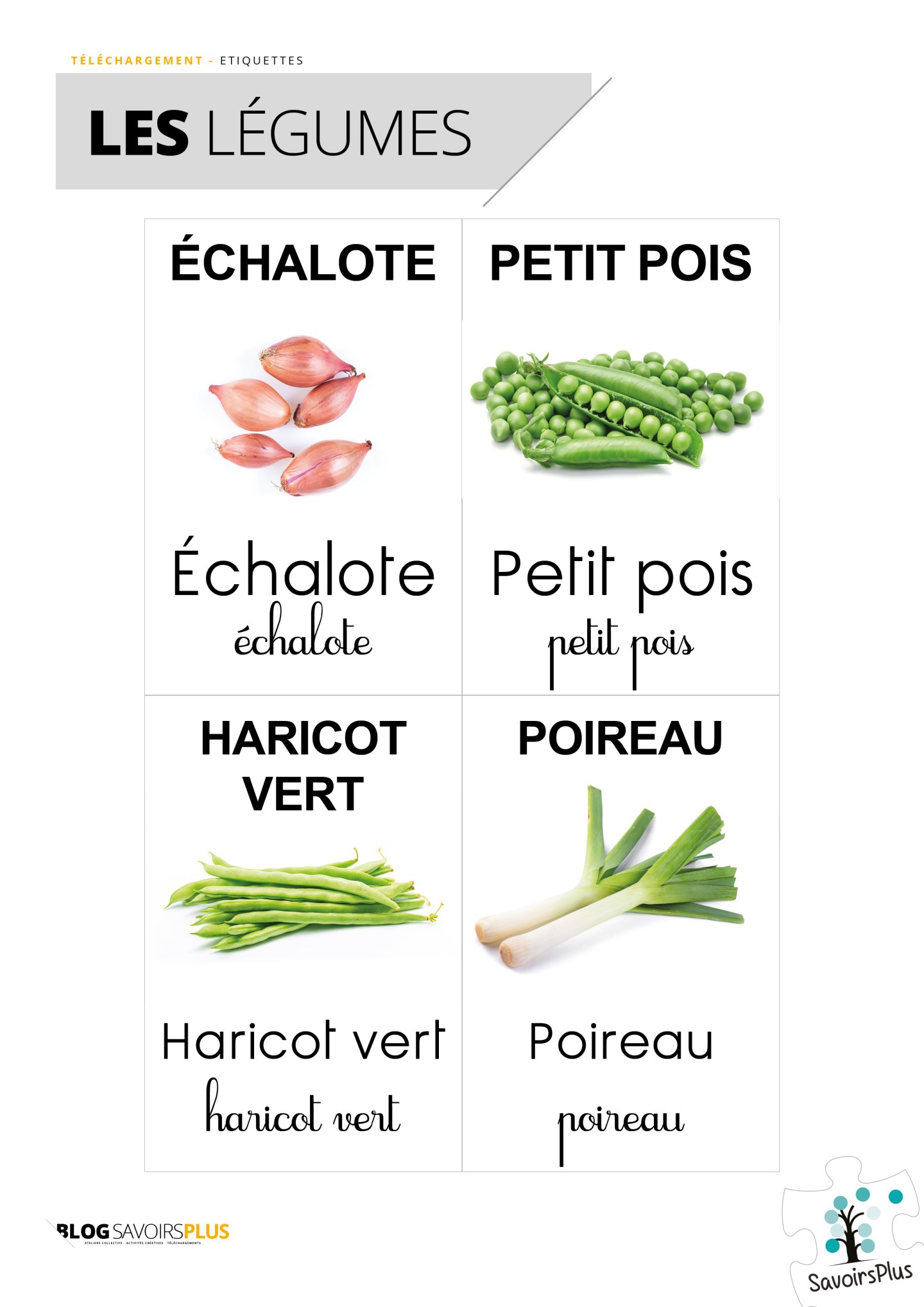 LES DOCS – Les légumes : Les étiquettes – Le blog SavoirsPlus