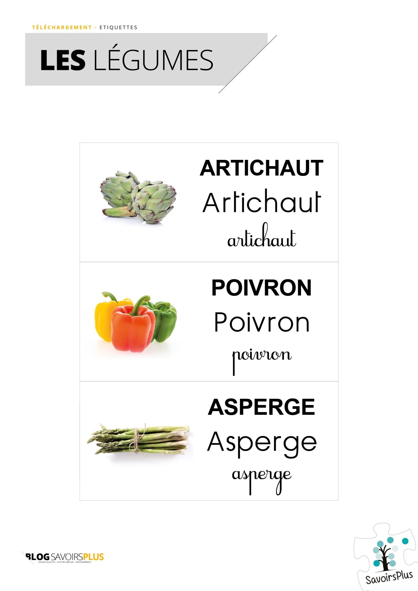 LES DOCS – Les légumes : Les étiquettes – Le blog SavoirsPlus