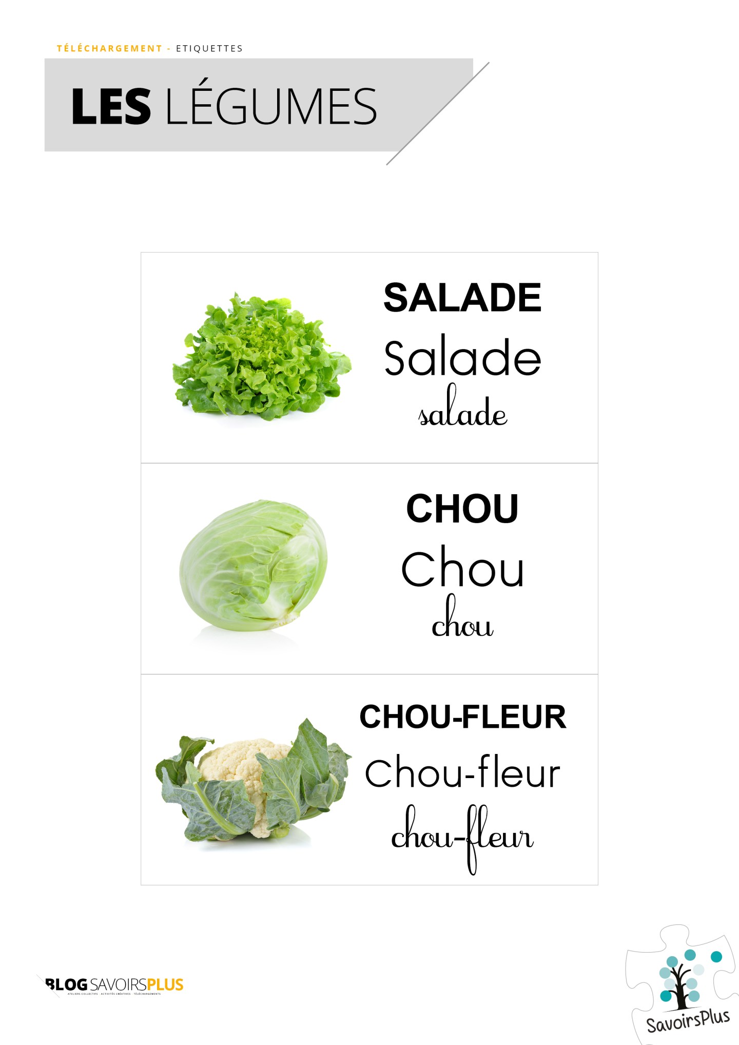 LES DOCS – Les légumes : Les étiquettes – Le blog SavoirsPlus