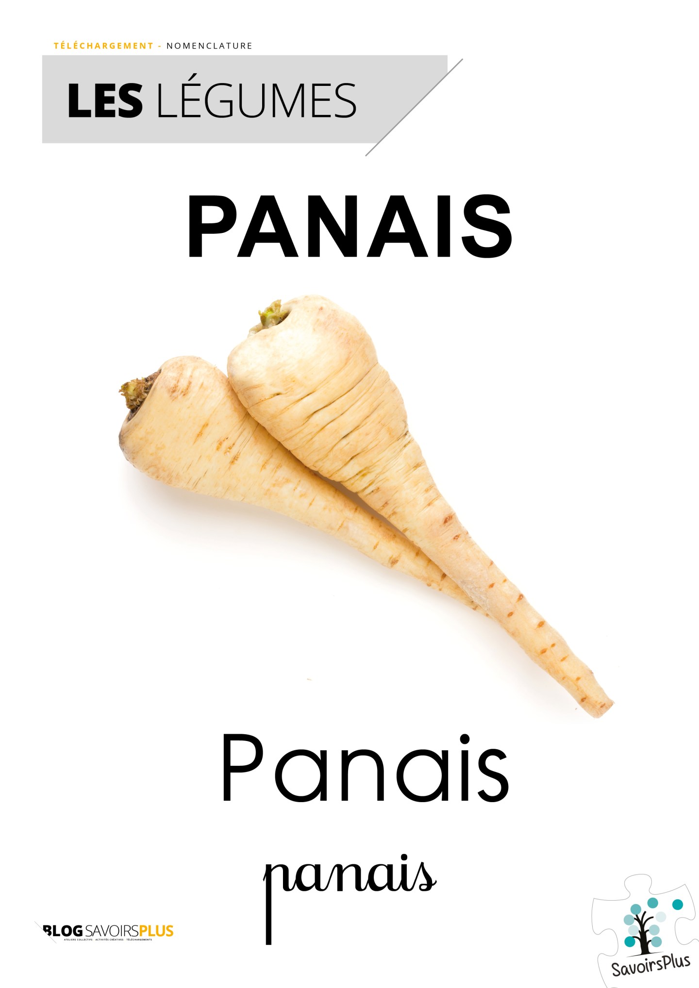 LES DOCS – Les légumes : Nomenclature – Le blog SavoirsPlus